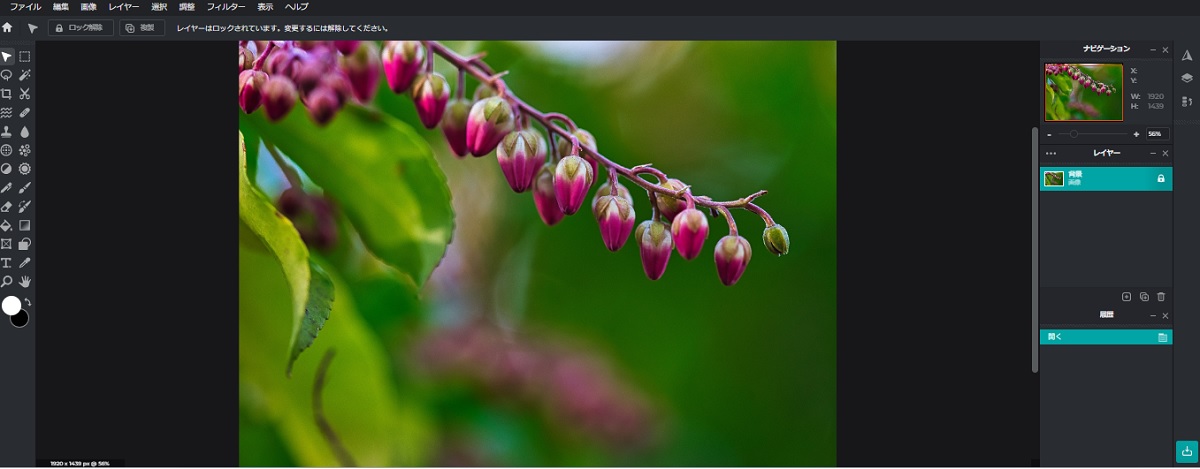 ウェブ上で使える画像編集エディター6選、無料で使える機能や有料との違いを解説 | FantasyPhotoLife